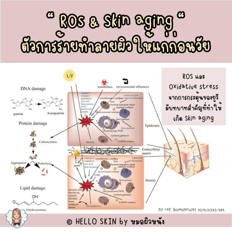 UV & Skin Photoaging🌤👴🏻 | HELLO SKIN by หมอผิวหนัง