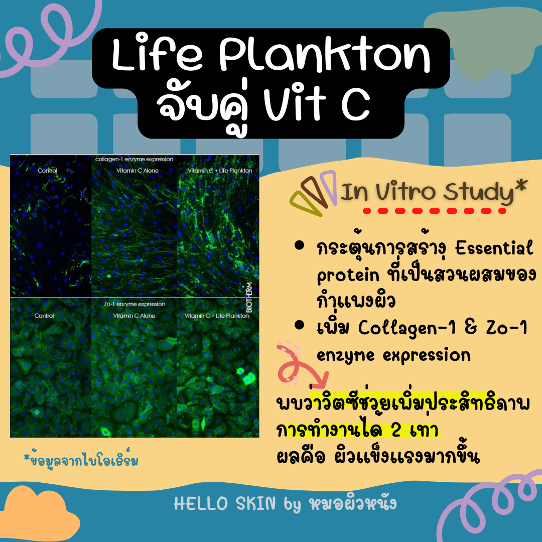 ไขข้อข้องใจ.. LIFE PLANKTON ทำไมไปอยู่ในสกินแคร์ มีประโยชน์ต่อผิว ...